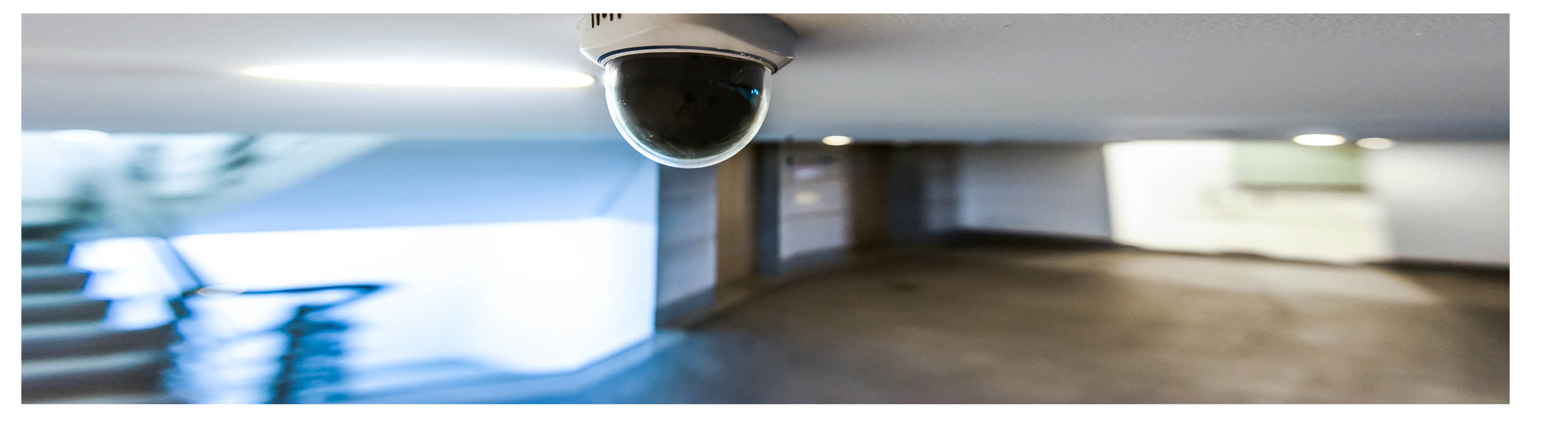 Integrated Physical Security | Cornetics Ltd